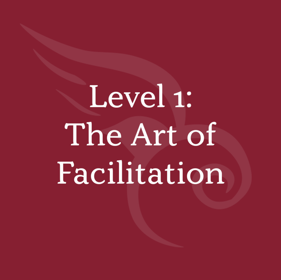 Facilitator Training Series – Level 1: The Art of Facilitation | ACADV